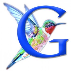 Google Hummingbird : Google's New Search Engine Algorithm Released